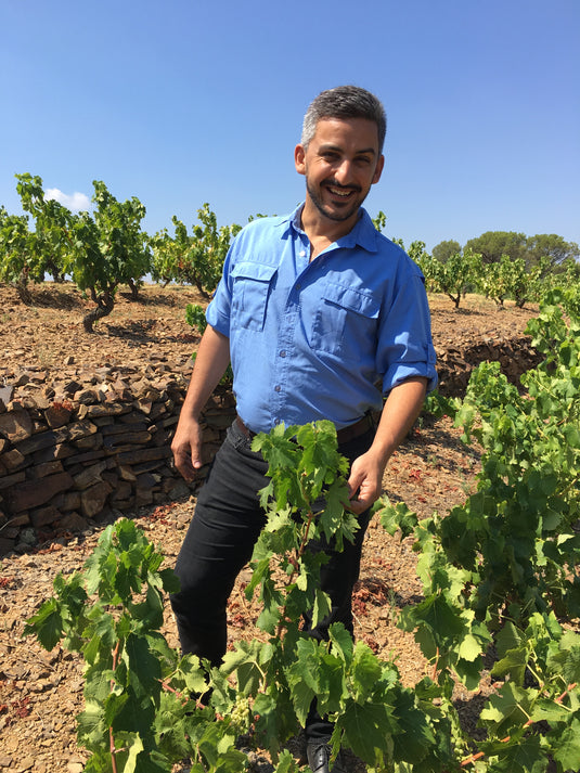 Meet the Guys – Ancient Wine Guys